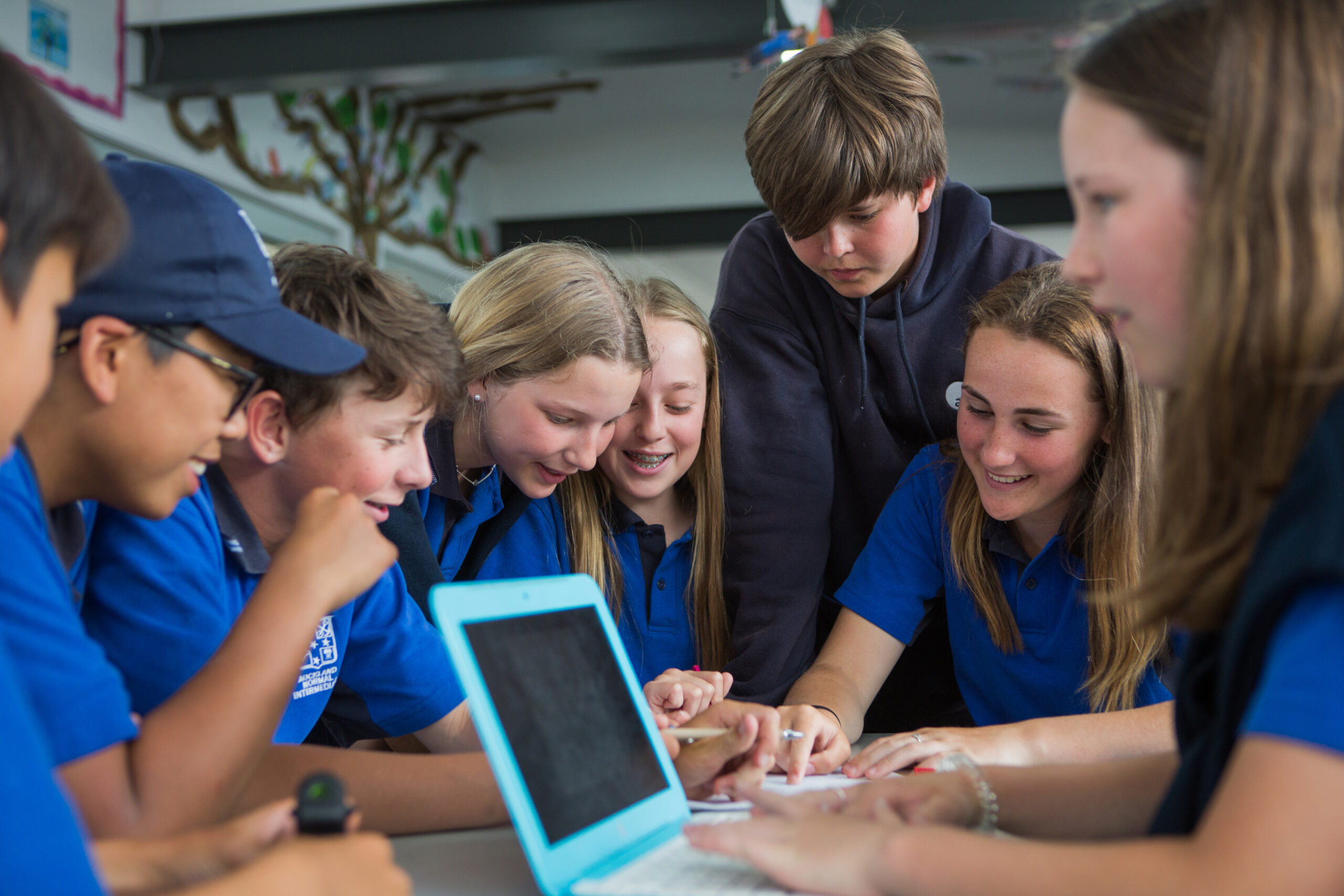 Auckland Normal Intermediate - 中小学留学申请 - 专注小学留学/中学留学